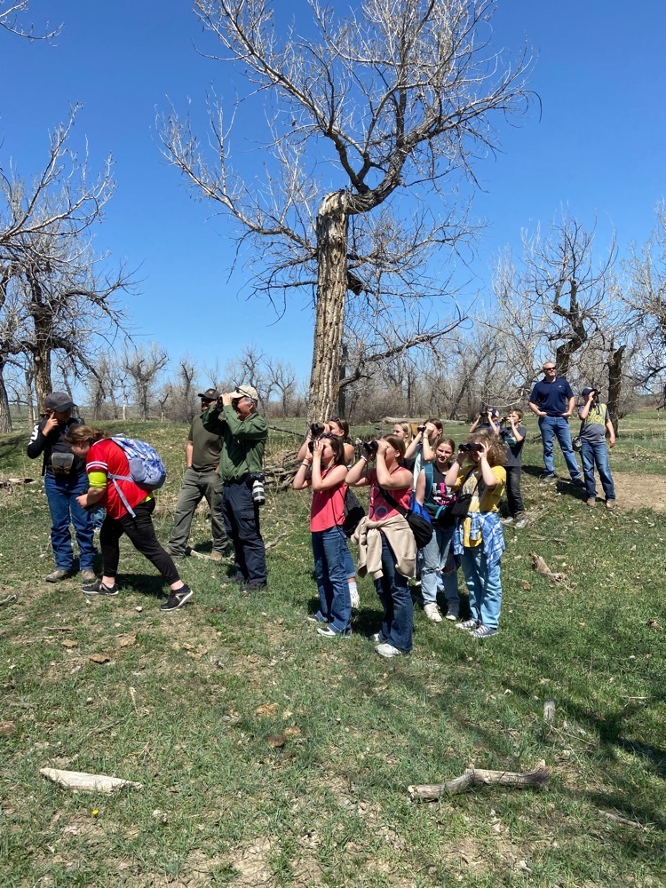 Live Feed | Melstone Public School